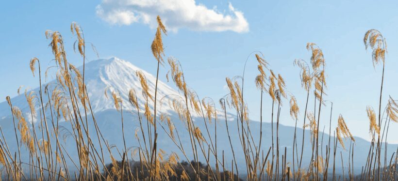 From Tokoyo - Mount FUJI Classic Highlight Joiner Day Tour - Pricing and Value