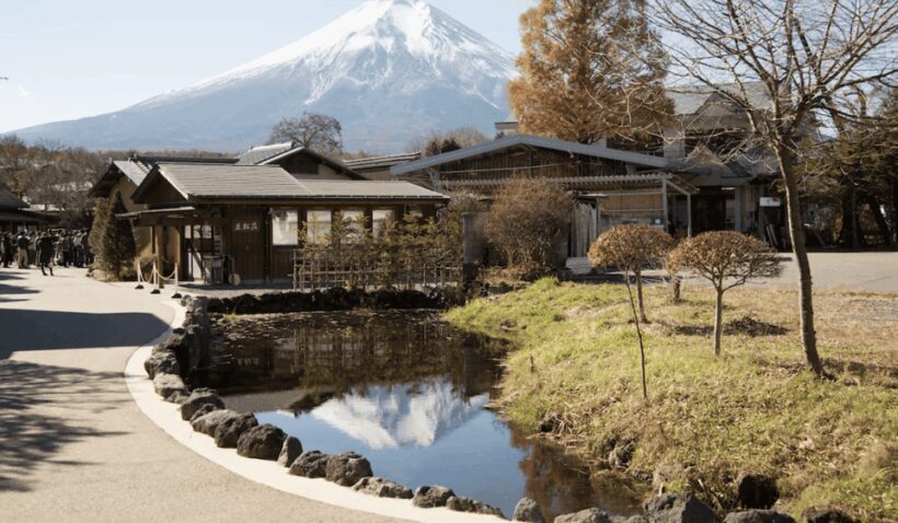 From Tokoyo - Mount FUJI Classic Highlight Joiner Day Tour - Seasonal Considerations and Accessibility