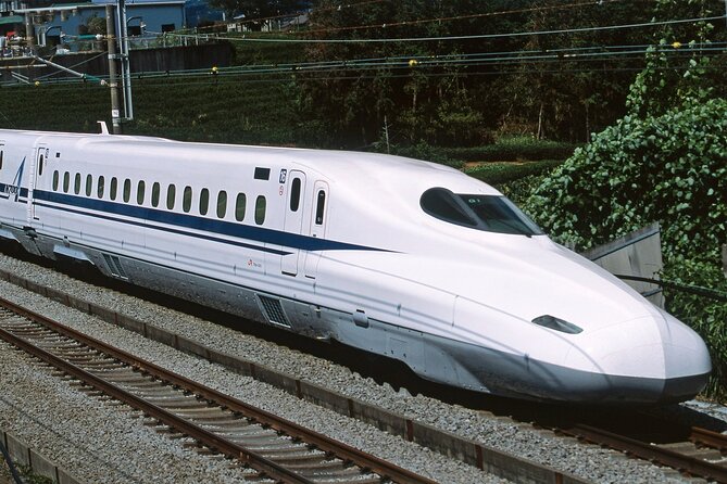 From Tokyo 1-Day Kyoto English-guided Tour by Bullet Train - Customer Reviews