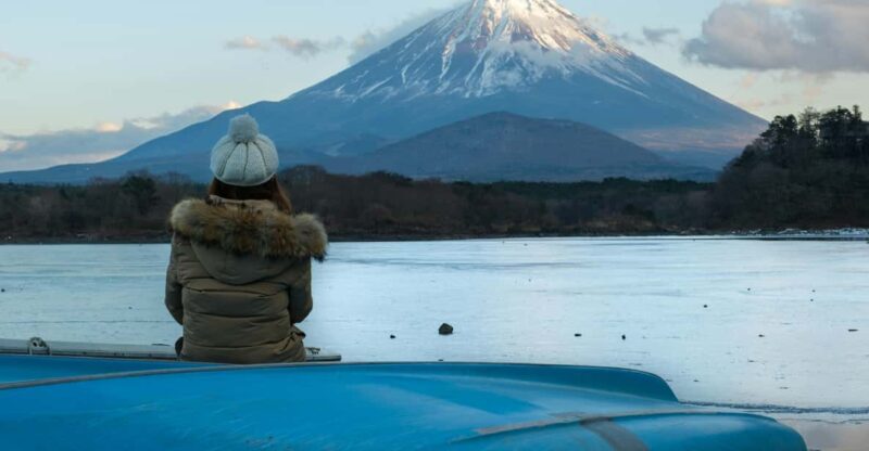 From Tokyo: 1 Full Day Mount Fuji Sightseeing Trip - Tour Features and Accessibility