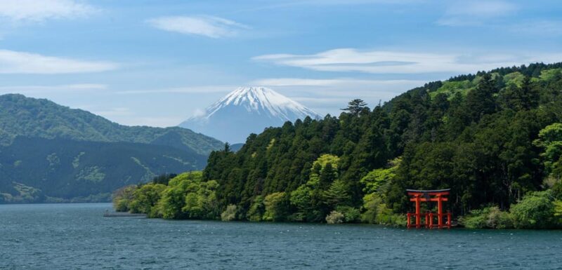 From Tokyo: 1 Full Day Mount Fuji Sightseeing Trip - Customer Reviews and Feedback