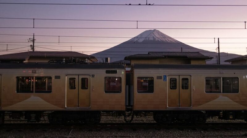 From Tokyo: 1 Full Day Mount Fuji Sightseeing Trip - Chureito Pagoda: Scenic Views