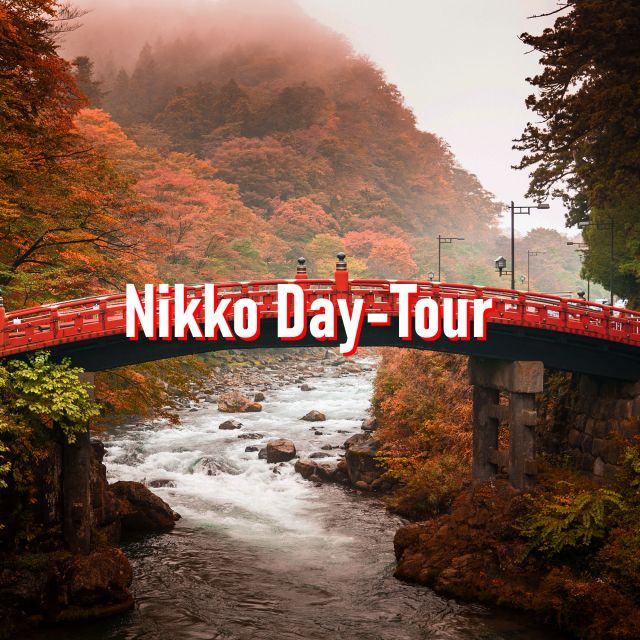 From Tokyo: 10-hour Private Custom Tour to Nikko - Tour Features and Flexibility