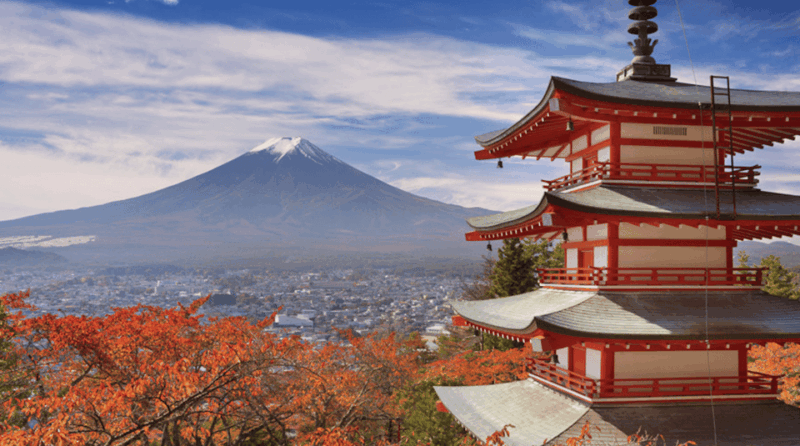 From Tokyo Custom Mt.Fuji Tour With the Private Van - Private Van Experience