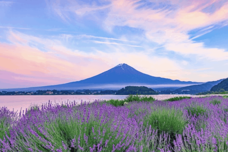 From Tokyo Custom Mt.Fuji Tour With the Private Van - Customer Reviews and Ratings