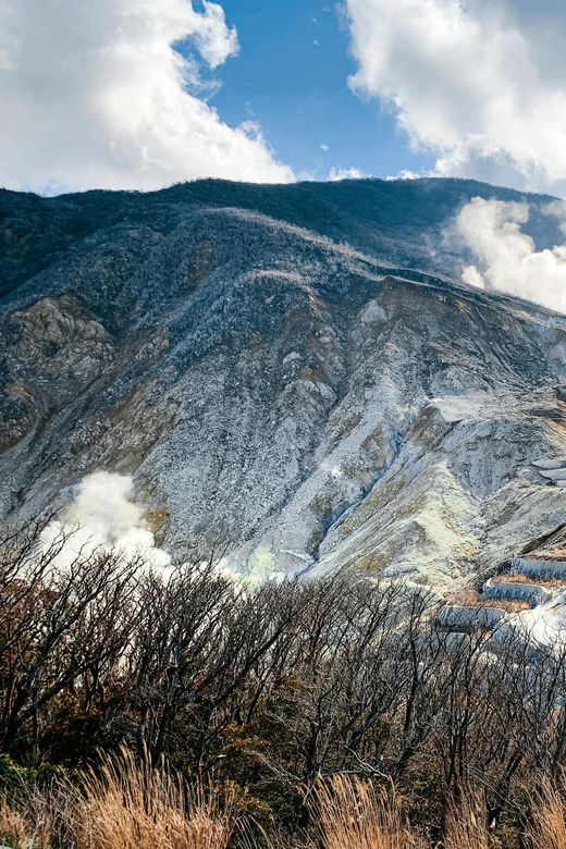 From Tokyo: Customize Your Own Tour! - Seamless Logistics and Support