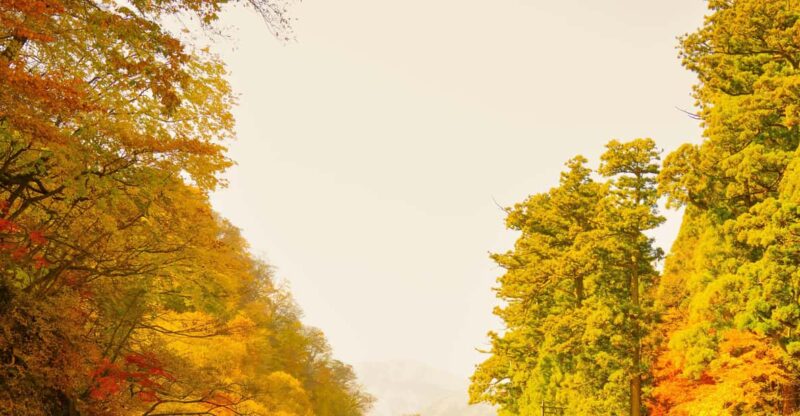 From Tokyo: Explore Nikko in a One Day, Shrine, Waterfall - Key Points