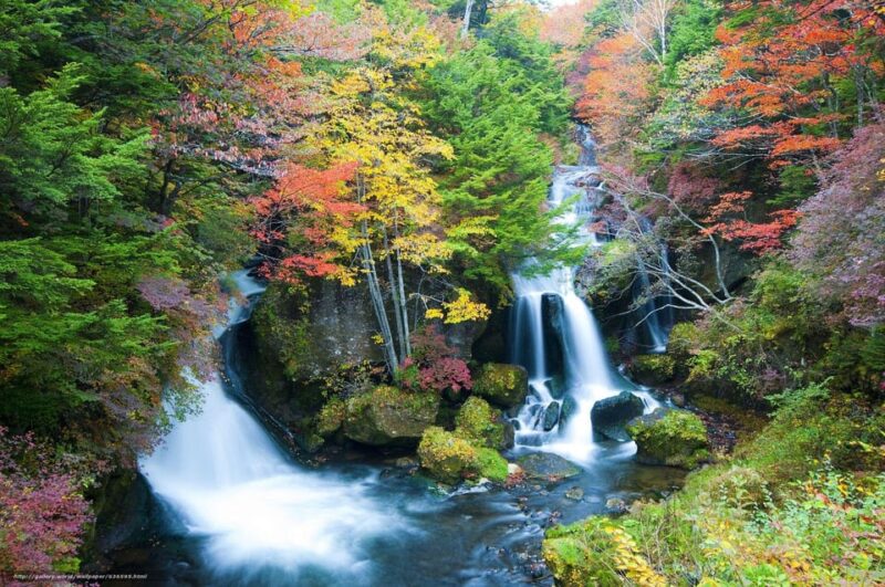 From Tokyo: Explore Nikko in a One Day, Shrine, Waterfall - Visiting Toshogu Shrine