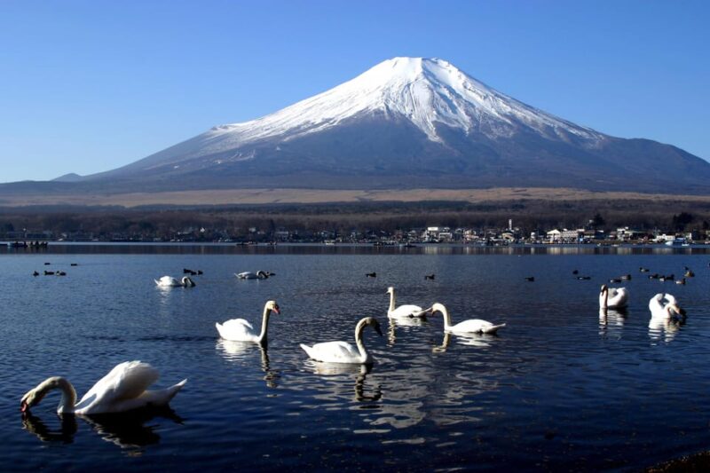 From Tokyo: Fuji Mountain Area - FujiQ - Lake Kawaguchiko - Chureito Pagoda - Scenic Attractions
