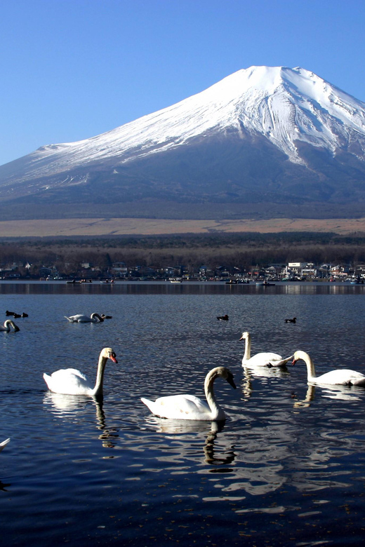 From Tokyo: Fuji Mountain Area - FujiQ - Lake Kawaguchiko - Chureito Pagoda - Transportation and Comfort