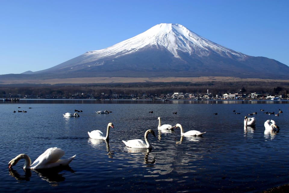 From Tokyo: Fuji Mountain Area - FujiQ - Lake Kawaguchiko - Chureito Pagoda - Frequently Asked Questions