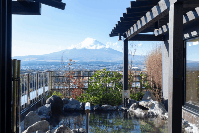 From Tokyo: Fuji Mountain Skiing and Hot Spring Day Trip - Itinerary and Activities