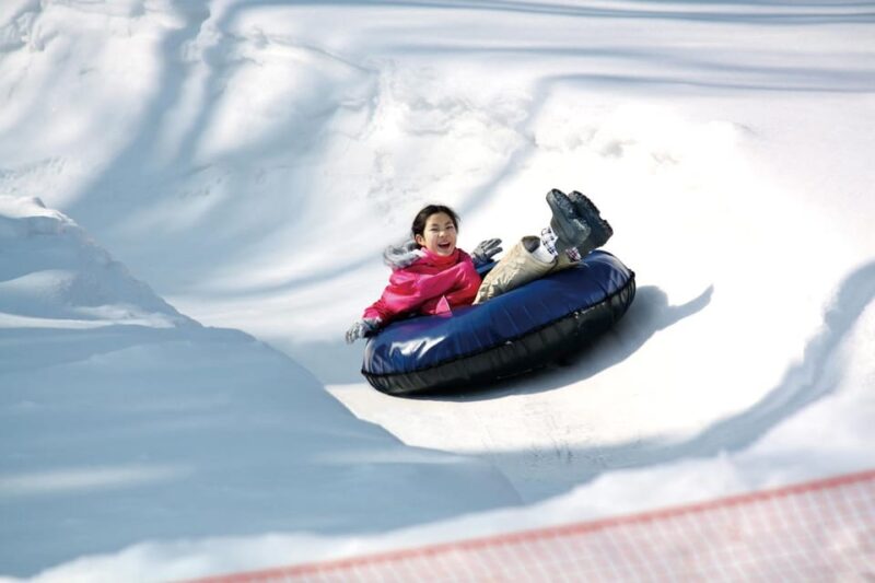 From Tokyo: Fujiyama Snow Resort Yeti Winter Ski Day Tour - Experiencing the Winter Wonderland