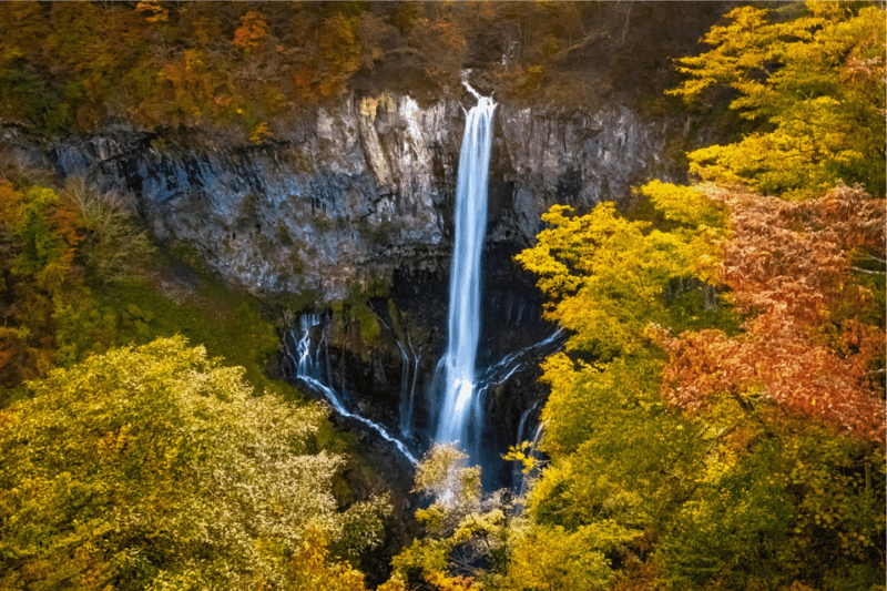 From Tokyo: Full-Day Private Nikko Highlights Tour - Key Points
