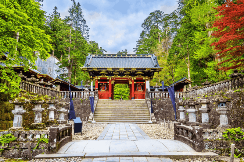From Tokyo: Full-Day Private Nikko Highlights Tour - Itinerary Highlights