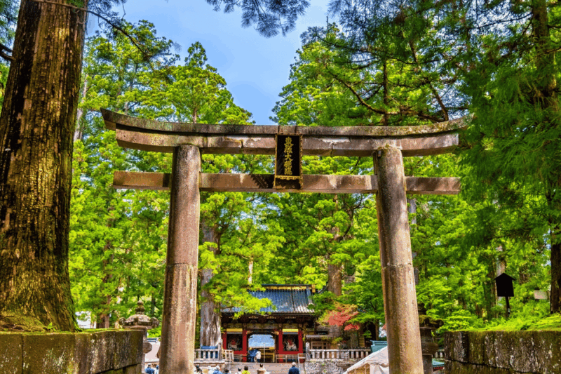 From Tokyo: Full-Day Private Nikko Highlights Tour - Tour Features