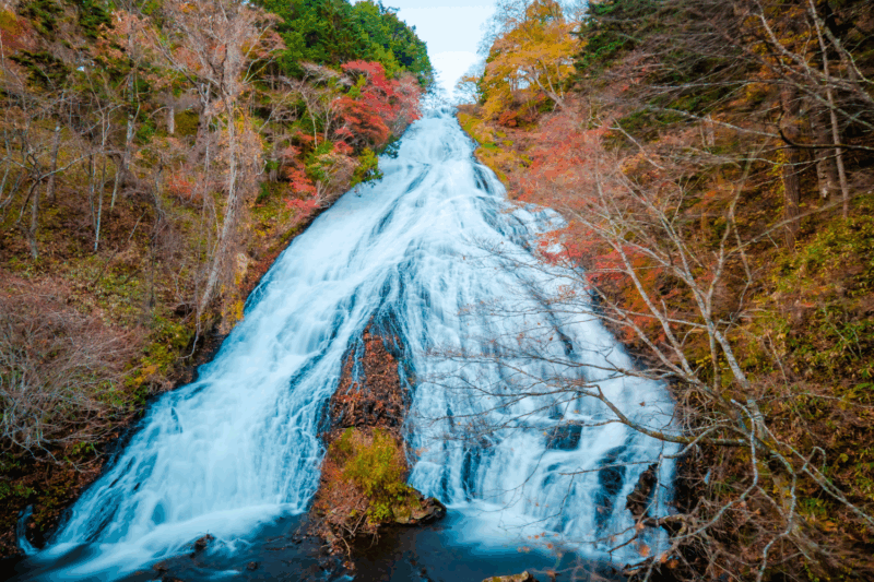 From Tokyo: Full-Day Private Nikko Highlights Tour - Communication and Confirmation