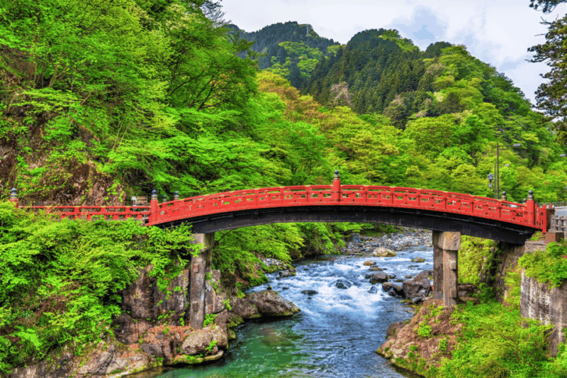 From Tokyo: Full-Day Private Nikko Highlights Tour - Frequently Asked Questions