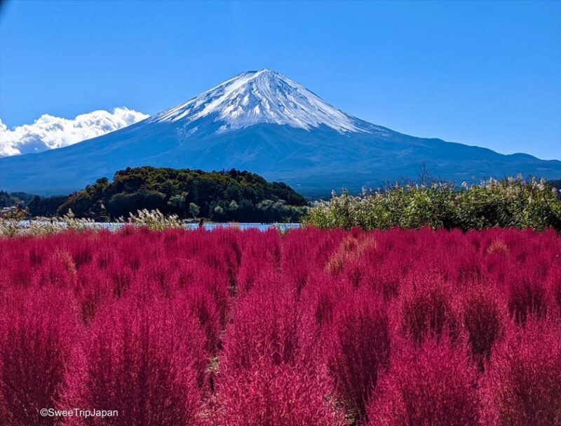 From Tokyo: Gotemba Premium Outlets & Lake Kawaguchi Tour - Included Services