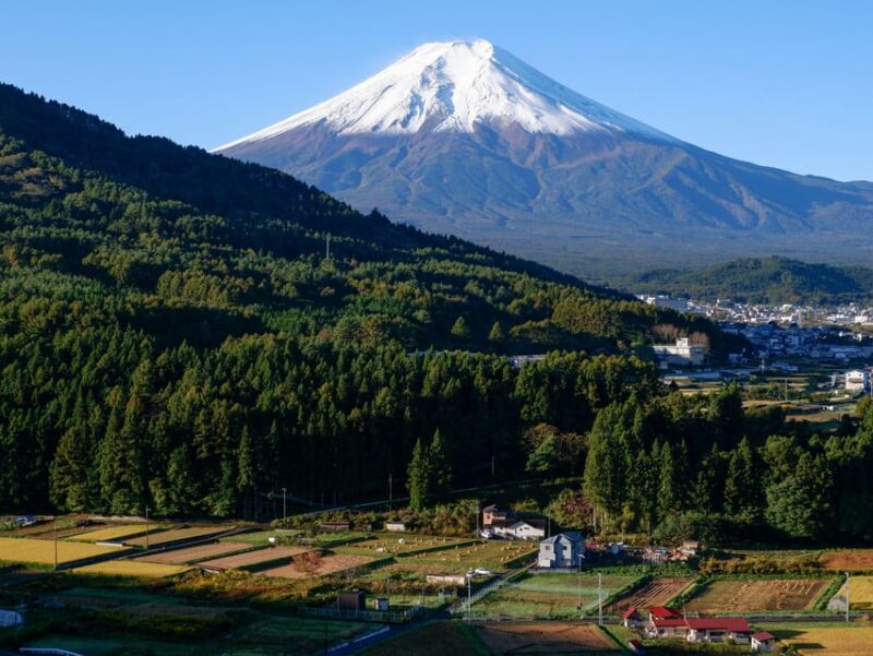 From Tokyo: Gotemba Premium Outlets & Lake Kawaguchi Tour - Lake Kawaguchi and Oishi Park