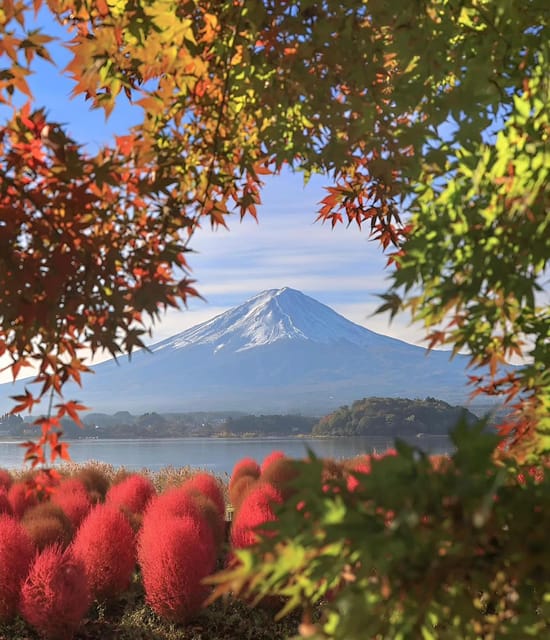 From Tokyo: Hakone and Mount Fuji Tour With Transportation - Key Points