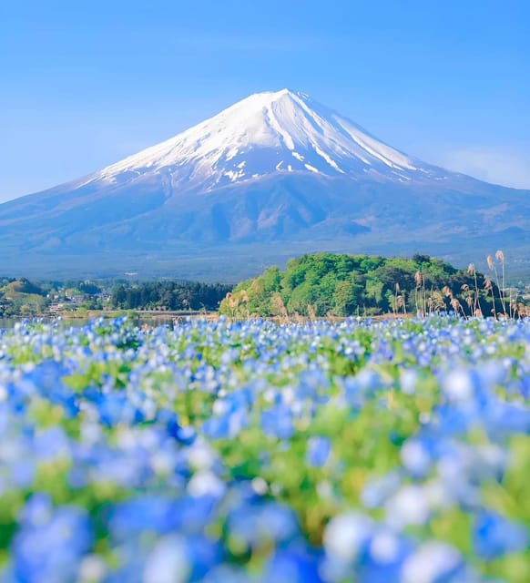 From Tokyo: Hakone and Mount Fuji Tour With Transportation - Transportation and Accessibility