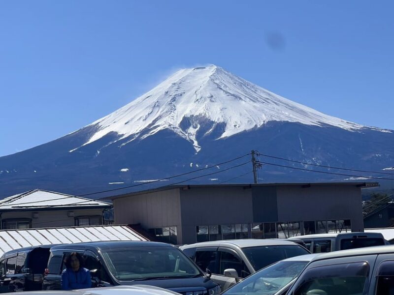From Tokyo: Hakone and Mount Fuji Tour With Transportation - Scenic Views of Mount Fuji and Fuji Five Lakes