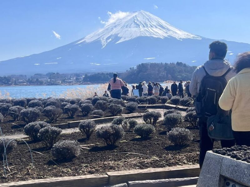 From Tokyo: Hakone and Mount Fuji Tour With Transportation - Hakone Ropeway and Panoramic Views