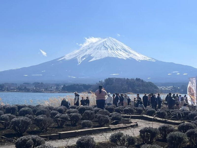 From Tokyo: Hakone and Mount Fuji Tour With Transportation - Owakudani Valleys Geothermal Wonders