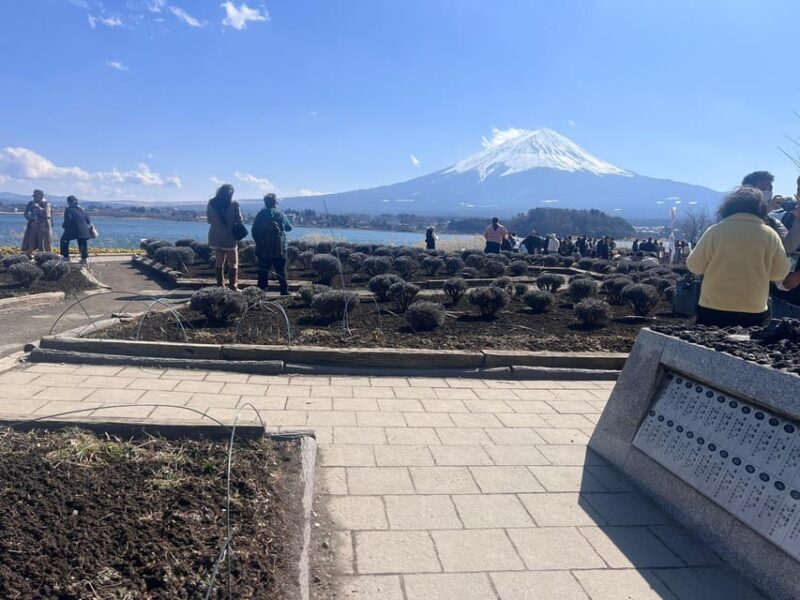 From Tokyo: Hakone and Mount Fuji Tour With Transportation - Recommendations for Maximizing the Experience