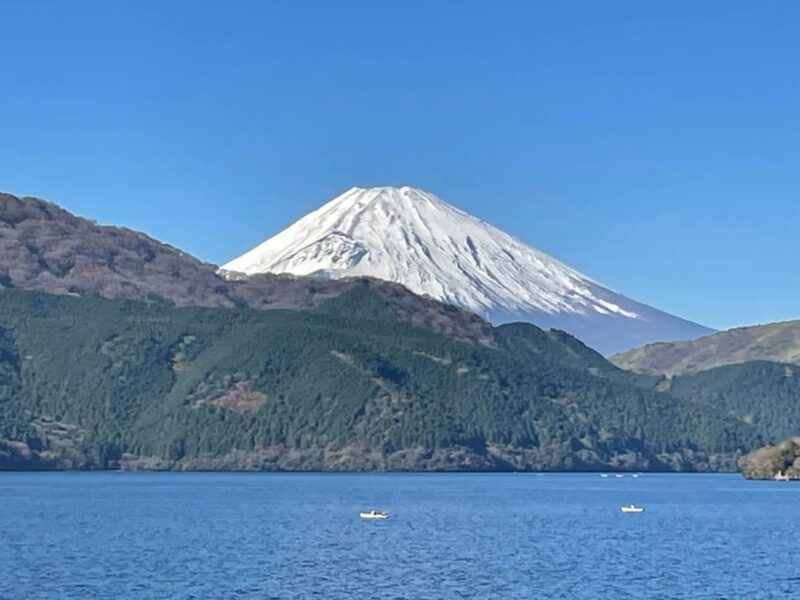 From Tokyo: Hakone and Mount Fuji Tour With Transportation - Frequently Asked Questions
