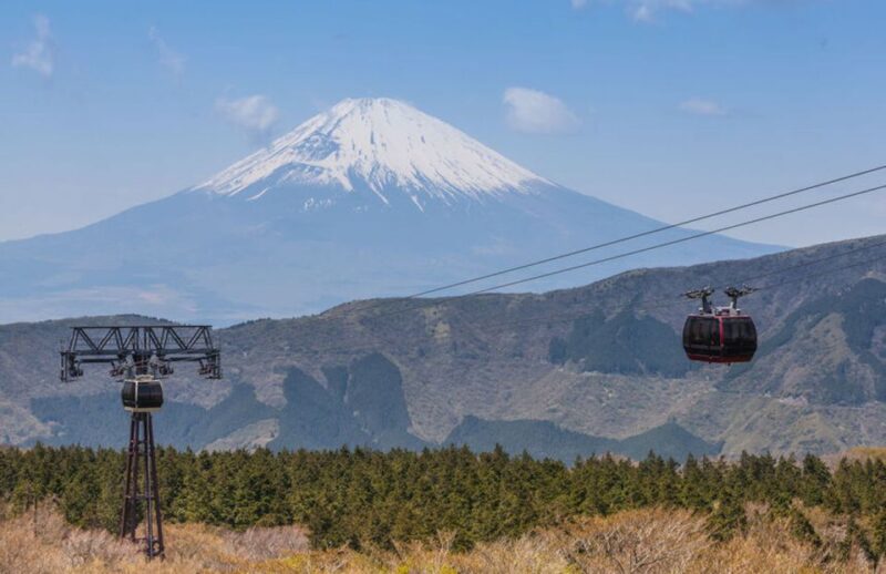 From Tokyo: Hakone and Owakudani Private Day Trip - Customizable Experience