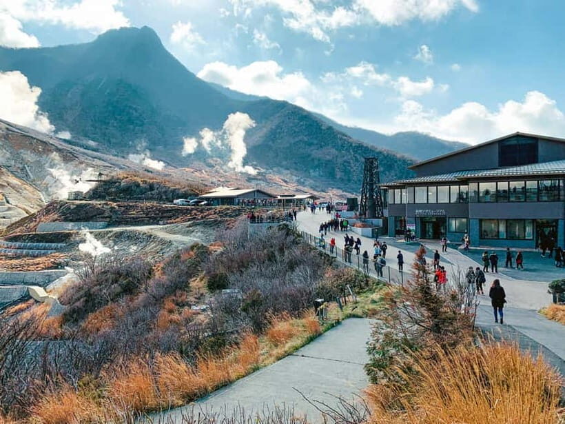From Tokyo: Hakone Day Trip with English Speaking Driver - Final Thoughts on Value and Suitability