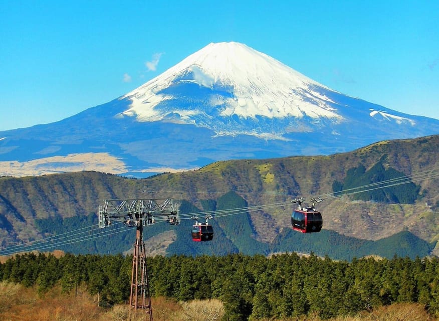 From Tokyo: Hakone Day Trip With Lake Ashinoko Boat Cruise - Meeting Point and Recommendations