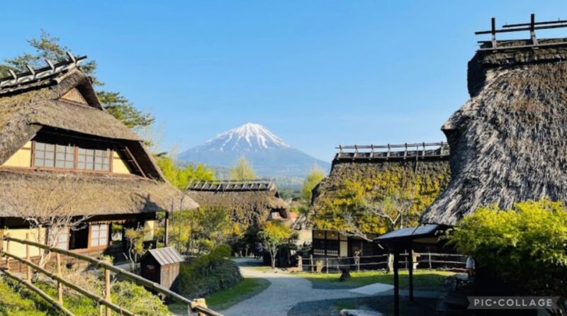 From Tokyo/Hakone/Fuji: Hakone & Mt. Fuji Day Trip W/Pickup - Transportation and Accessibility