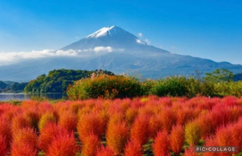 From Tokyo/Hakone/Fuji: Hakone & Mt. Fuji Day Trip W/Pickup - Customer Feedback