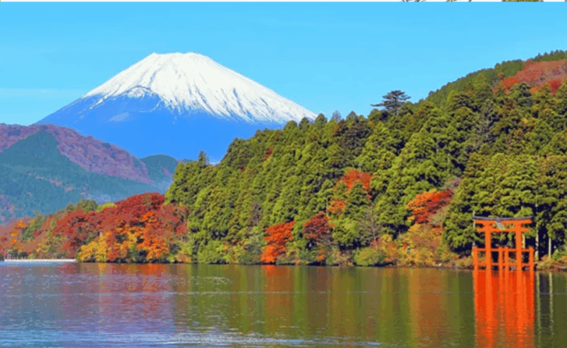 From Tokyo: Hakone, Lake Ashi Private Sightseeing Day Trip. - Key Points