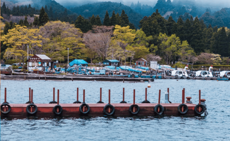 From Tokyo: Hakone, Lake Ashi Private Sightseeing Day Trip. - Itinerary Highlights