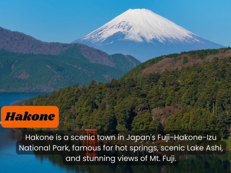 From Tokyo: Hakone, Lake Ashi Private Sightseeing Day Trip. - Guide and Experience