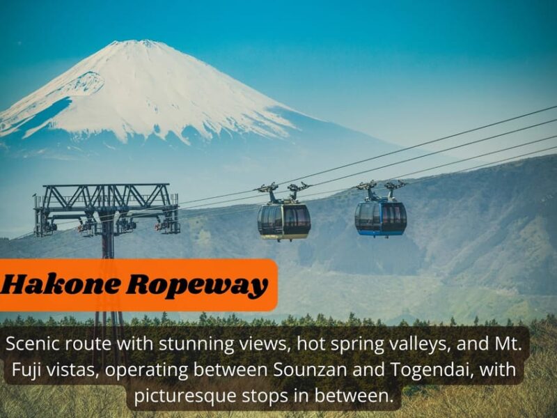 From Tokyo: Hakone, Lake Ashi Private Sightseeing Day Trip. - Suitability and Recommendations