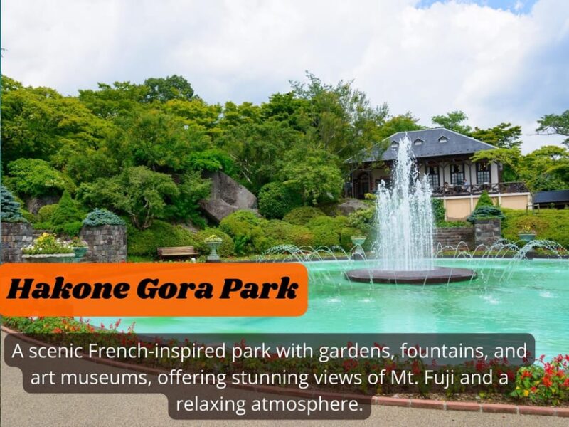 From Tokyo: Hakone, Lake Ashi Private Sightseeing Day Trip. - Scenic Boat Cruise on Lake Ashi