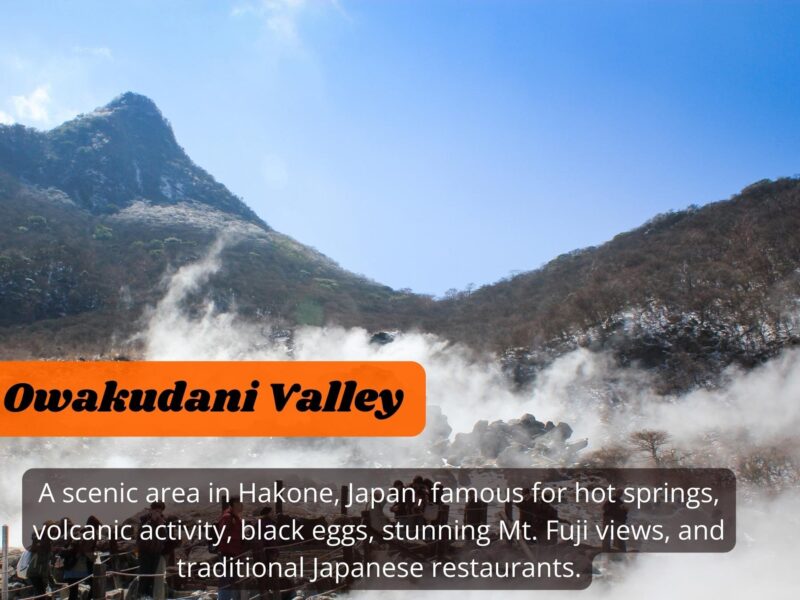 From Tokyo: Hakone, Lake Ashi Private Sightseeing Day Trip. - Discovering the Owakudani Valley and Black Eggs