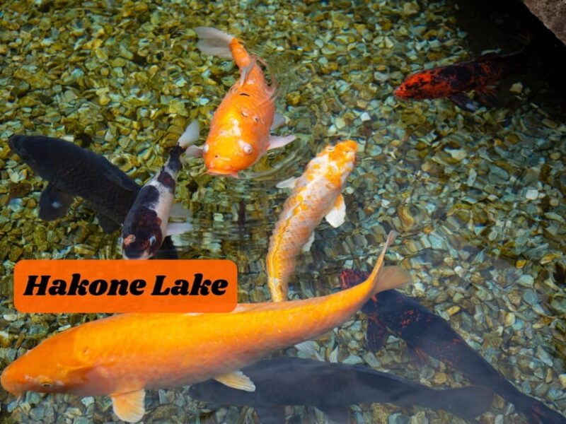 From Tokyo: Hakone, Lake Ashi Private Sightseeing Day Trip. - Frequently Asked Questions