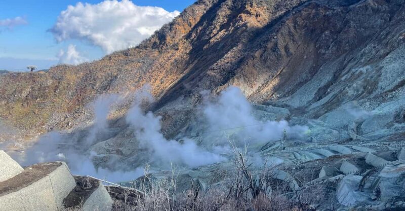 From Tokyo: Hakone Shrine, Lake Ashi, Open Air Museum Tour - Key Points