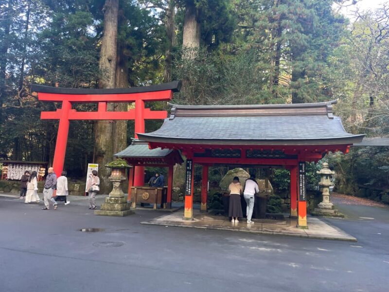 From Tokyo: Hakone Shrine, Lake Ashi, Open Air Museum Tour - Tour Features and Experience