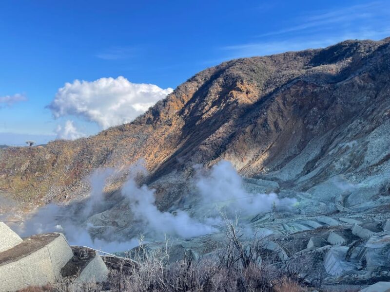 From Tokyo: Hakone Shrine, Lake Ashi, Open Air Museum Tour - Optional Attractions: Hakone Open-Air Museum and Fuji Hakone Izu National Park