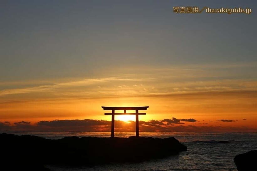 From Tokyo: Hitachi seaside Park & Oarai Isosaki Shrine Tour - Key Points