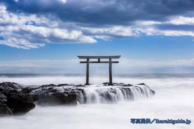From Tokyo: Hitachi seaside Park & Oarai Isosaki Shrine Tour - FAQ