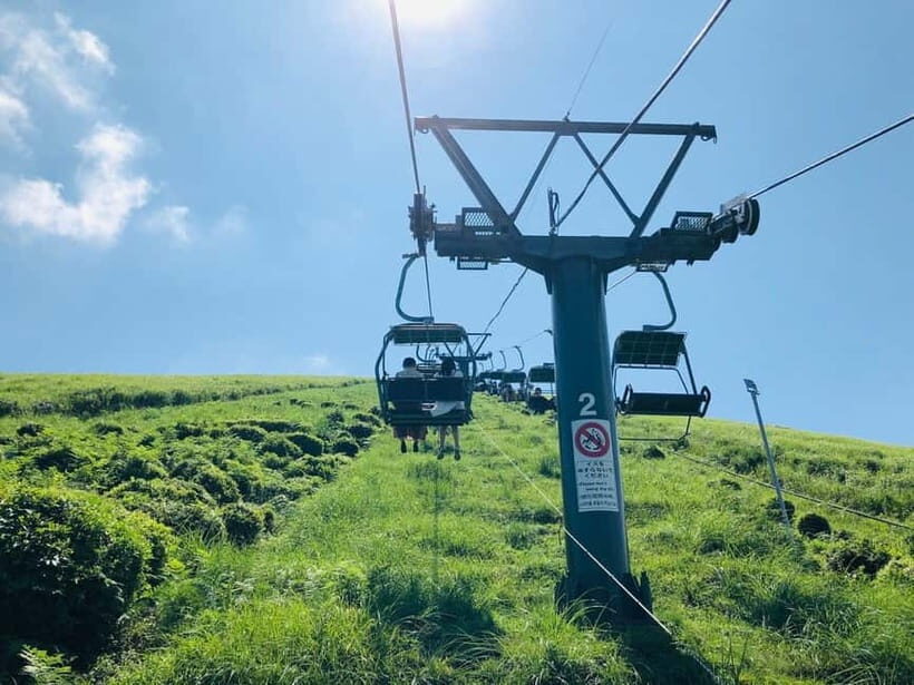 From Tokyo: Izu Omuro Mountain, Jogasaki Coast Day Trip - Key Points
