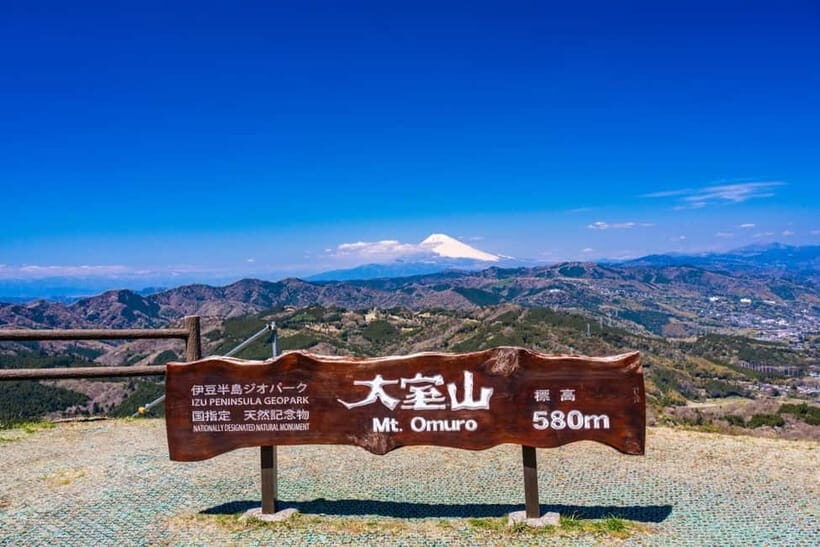 From Tokyo: Izu Omuro Mountain, Jogasaki Coast Day Trip - A Detailed Look at the Tour Experience